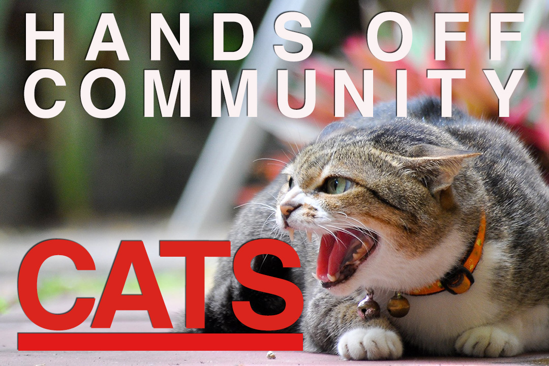 Oak Cliff Cats Protest Signs – Free Protest Signs – Fuck Trump!